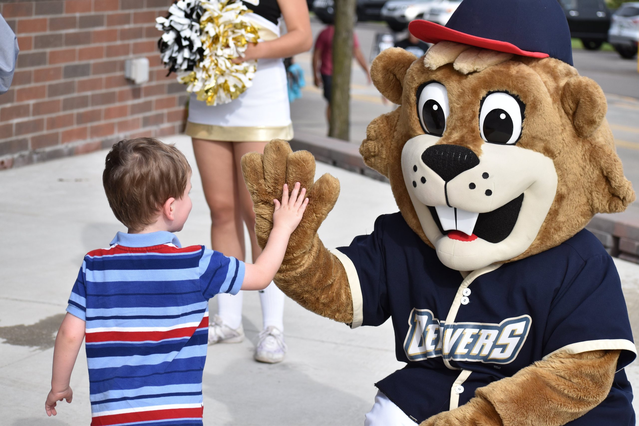 Beavers Seal Back to Back Wins Thursday 7/27 and Friday 7/28 - USPBL