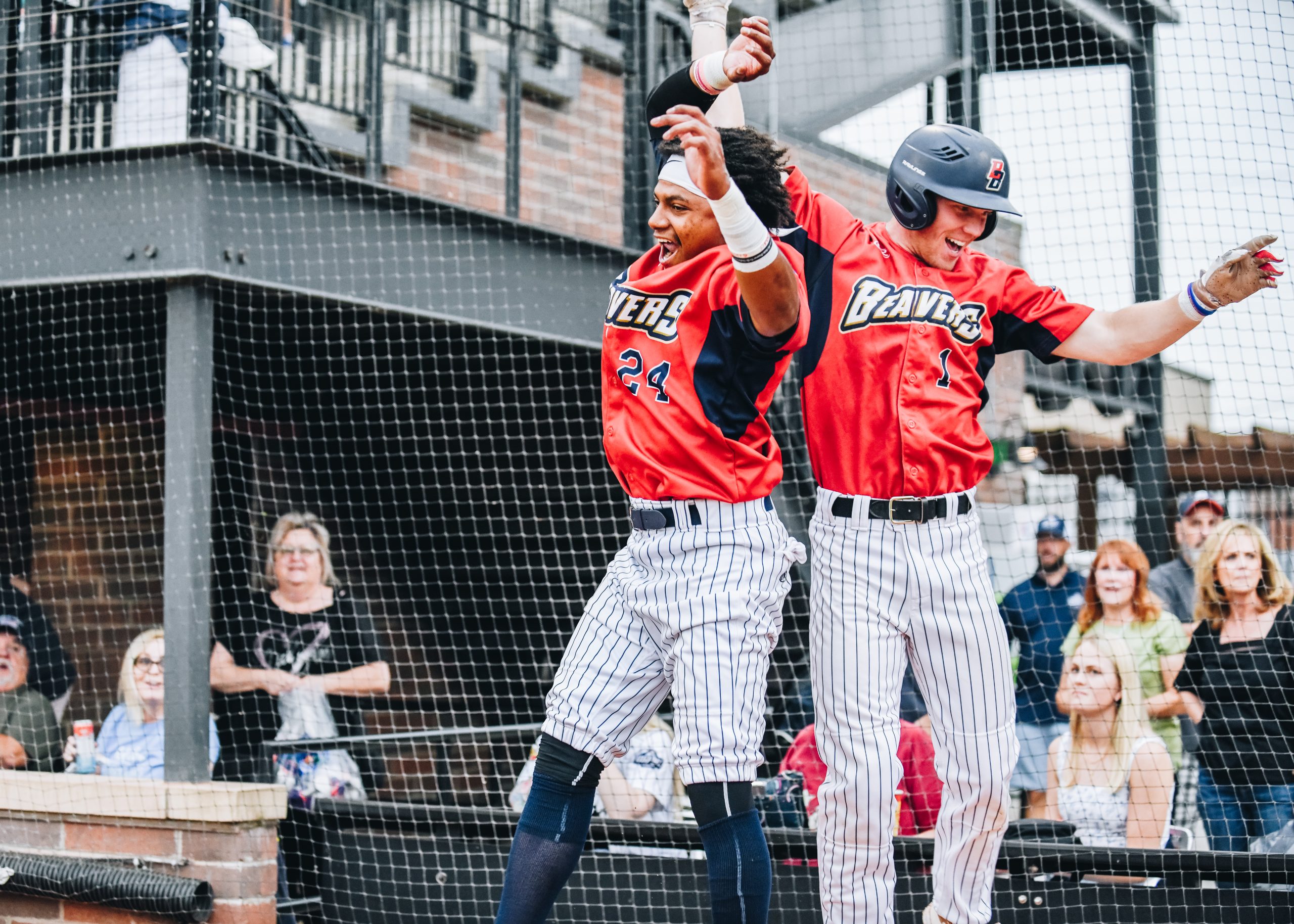 Beavers Stay Hot, Beat Mammoths, 8-5 - USPBL powered by Mortgage Matchup