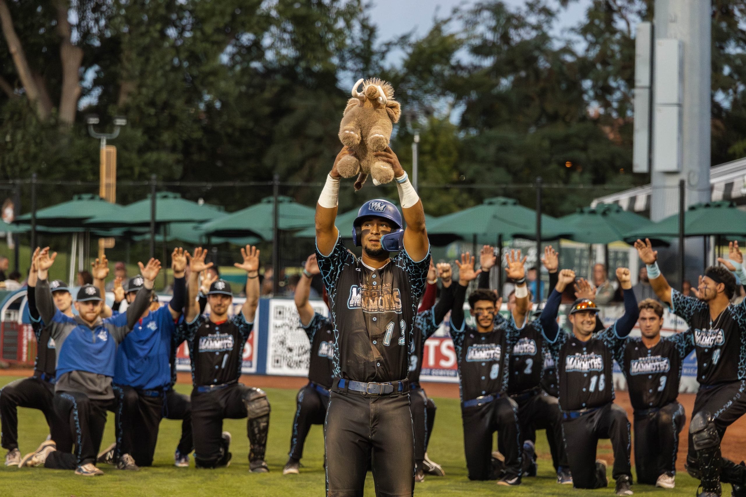 Hoppers Come Up Short Against Mammoths - USPBL powered by Mortgage Matchup