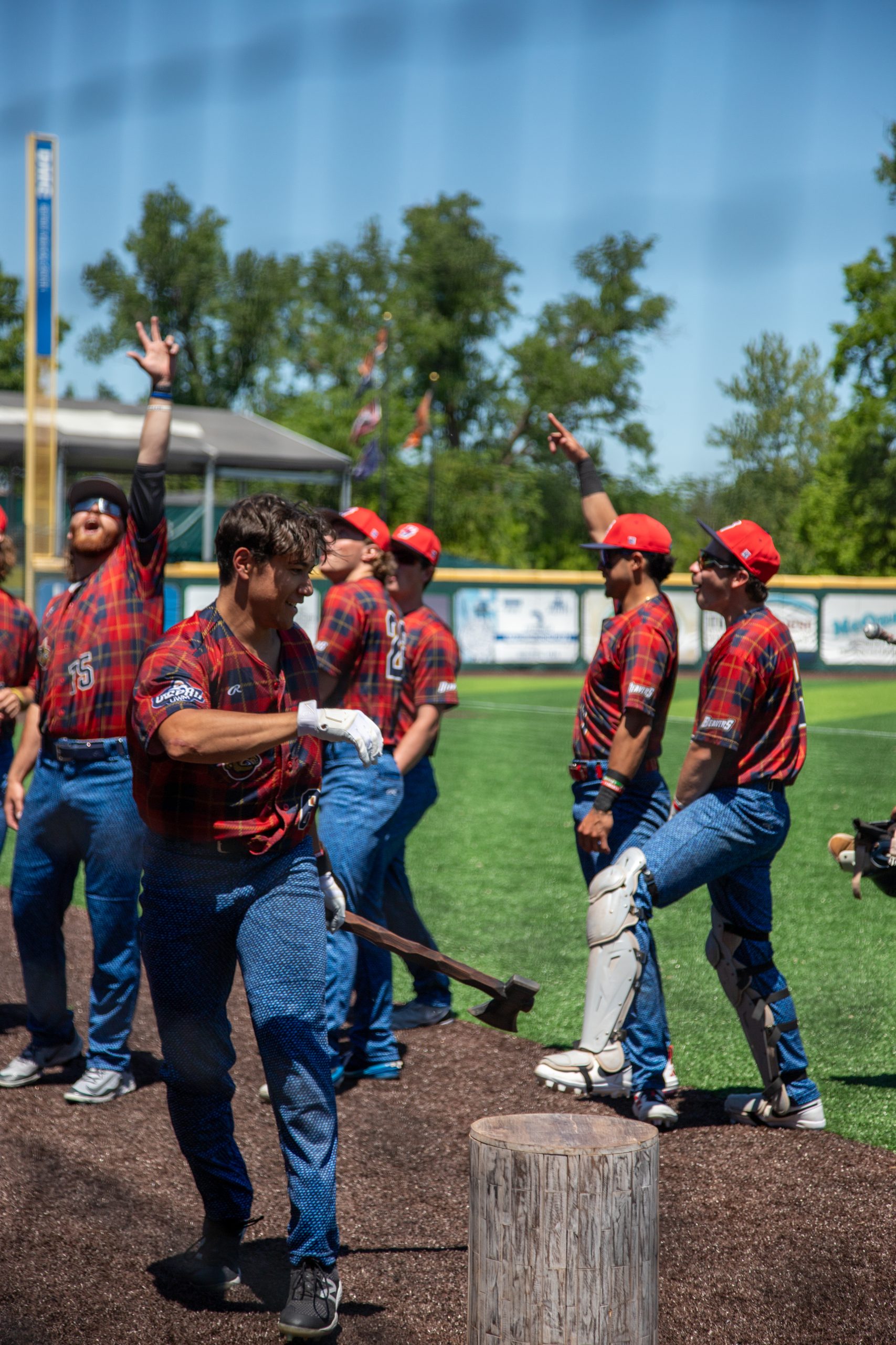 Beavers Dominate Hoppers on Sunday, 18-6 - USPBL powered by Mortgage ...